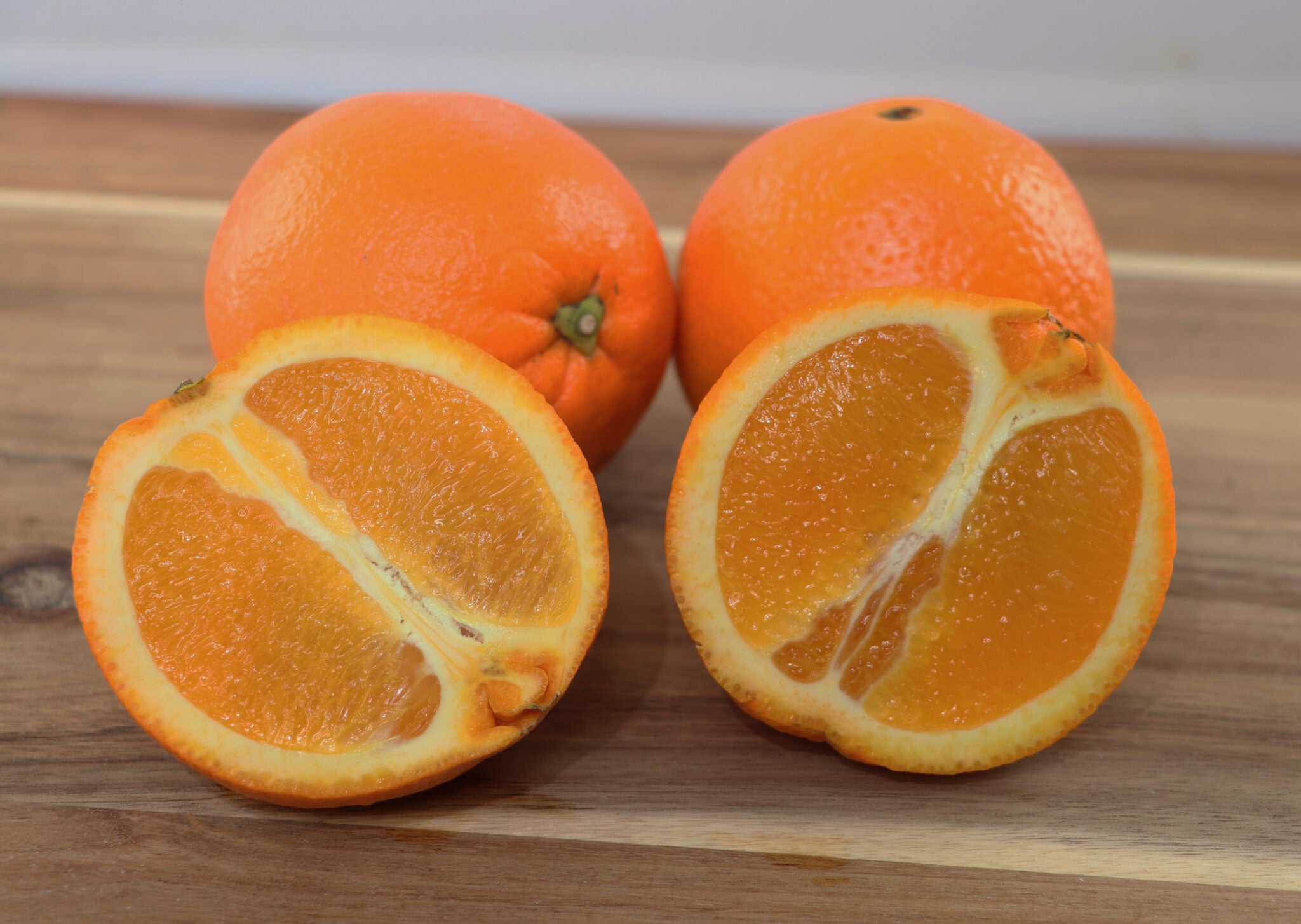 Washington Navel Orange Tree - 15 gal Semi Dwarf - ~2ft tall & ~1 ...