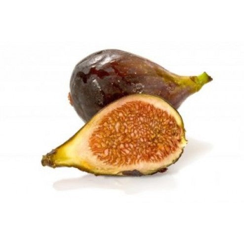 Improved Brown Turkey Fig Tree - #15 - ~5Ft Tall & ~1" Trunk - Paradise ...
